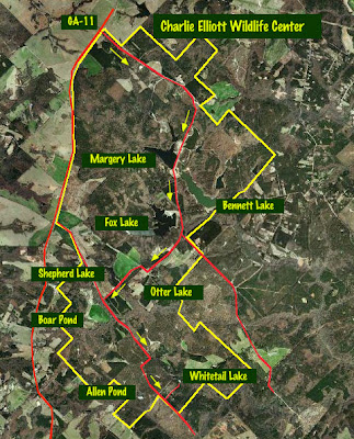 Anybody Seen My Focus?: Charlie Elliott Wildlife Center: Fall Color