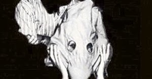 Maritime Vinyl: Top 5 Albums of 2013! - Matthew Hutt