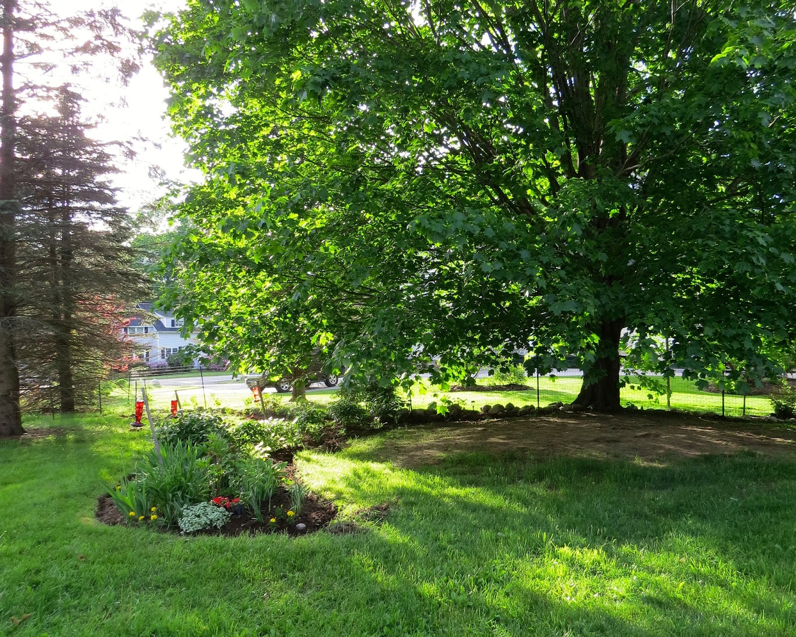 The Long Awaited Home: Our Great Big Summertime Yard Tour