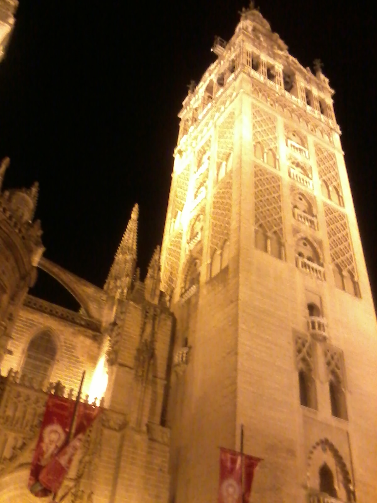 arrecifedecoral2012