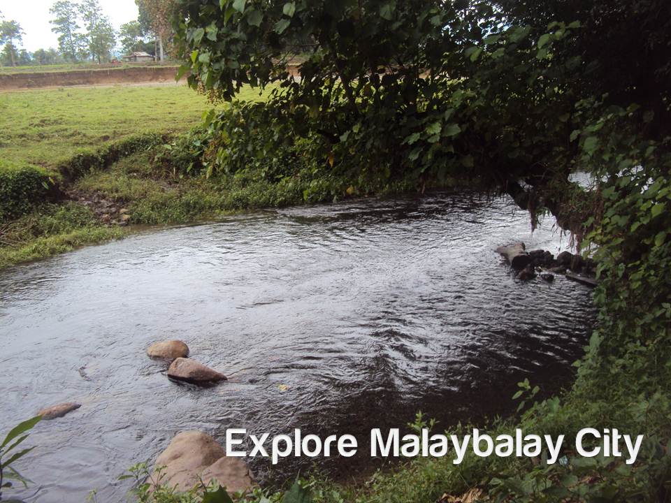 EXPLORE MALAYBALAY CITY: The Endangered Spring of Cabangahan