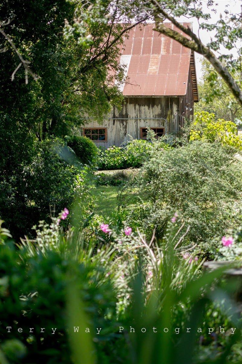 Rancho Soquel Wedding Photographer Terry Way Photography