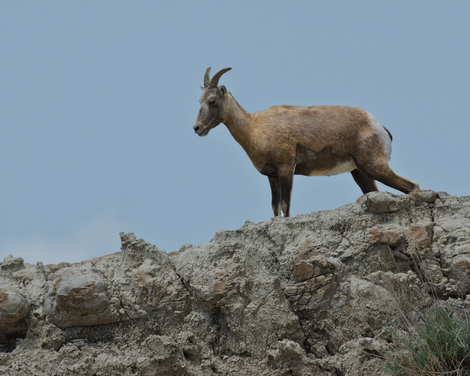 Journeys With Judy: Badlands National Park South Dakota
