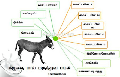 கழுதை பால் பயன்கள் - kazhuthai pal marthuva payan - ஔசதம் - OWSHADHAM