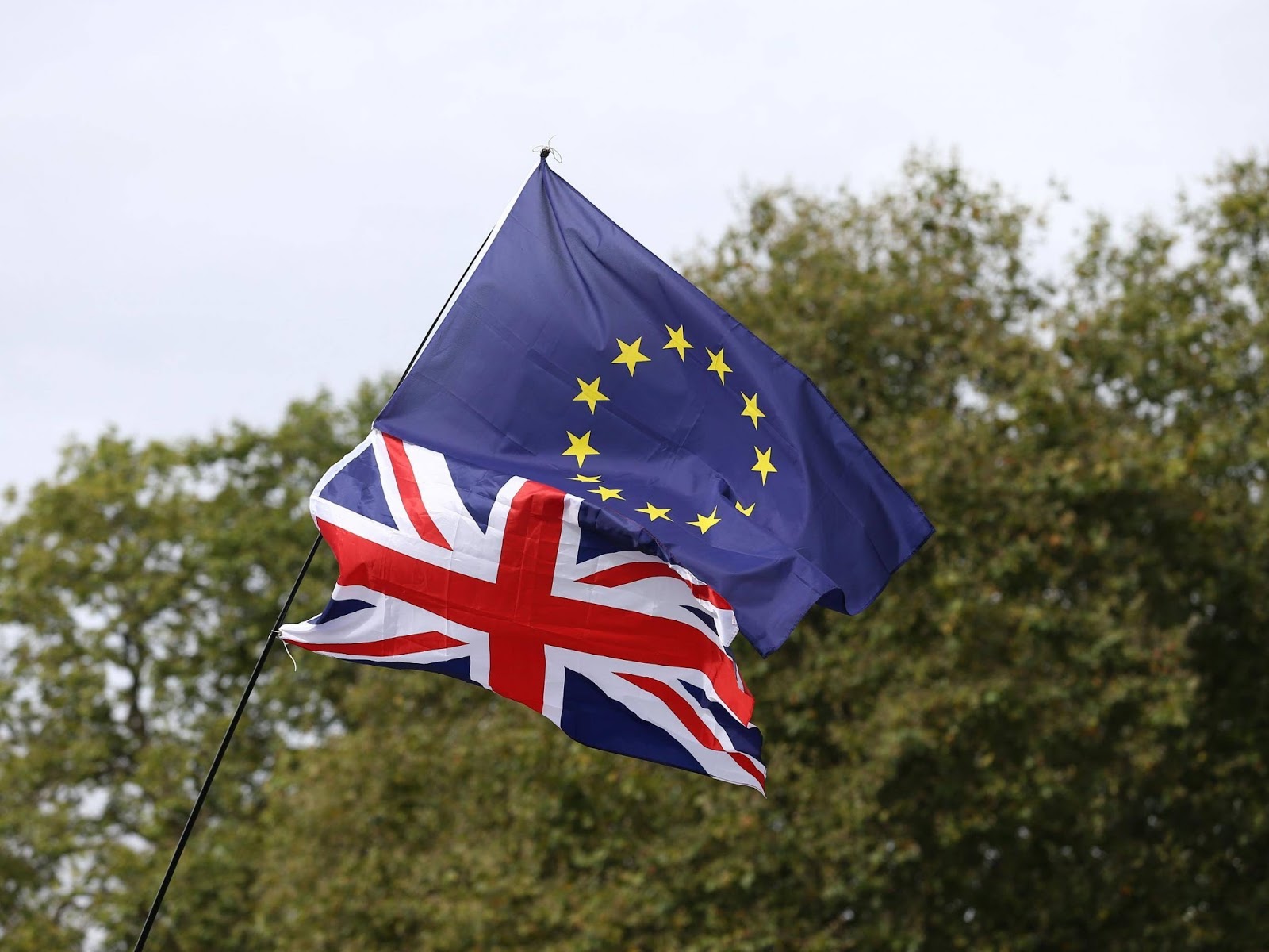 apa itu brexit - wood scribd indo