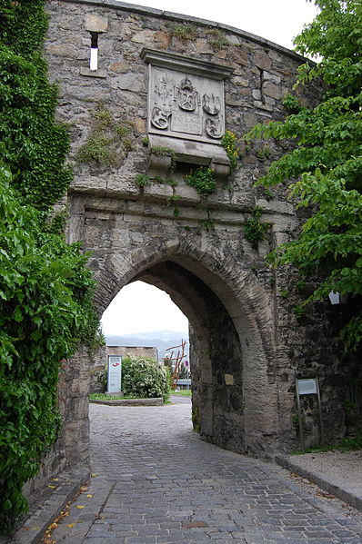 Linz "El joven Hitler: ascenso al Freinberg" | AH Strasse | Adolf ...