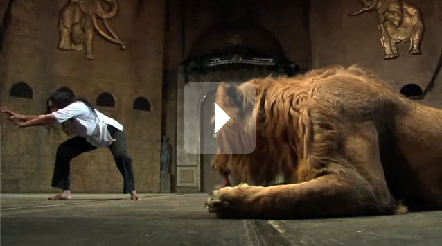 TODOS LOS ANIMALES; SON UN TESORO PARA "EL PLANETA"..: BAILARINA ...