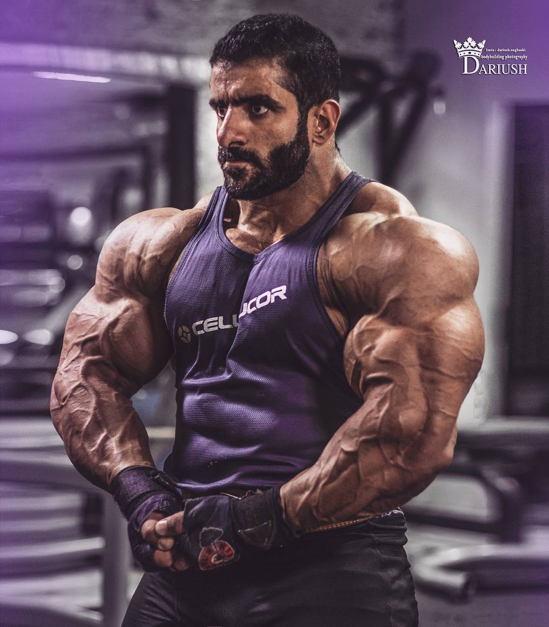 Muscle Lover: Iranian IFBB Pro bodybuilder Hadi Choopan - Gym photo ...