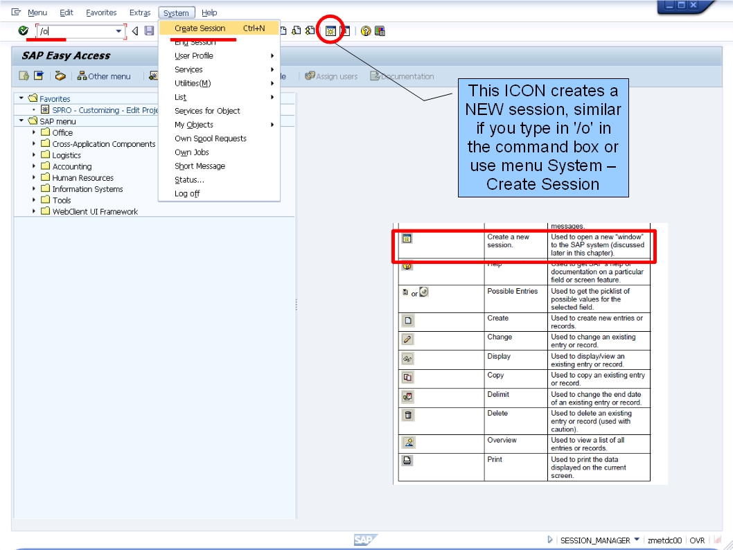 青蛙SAP分享 Froggy's SAP sharing: N13 SAP Buttons/ICONS Explained