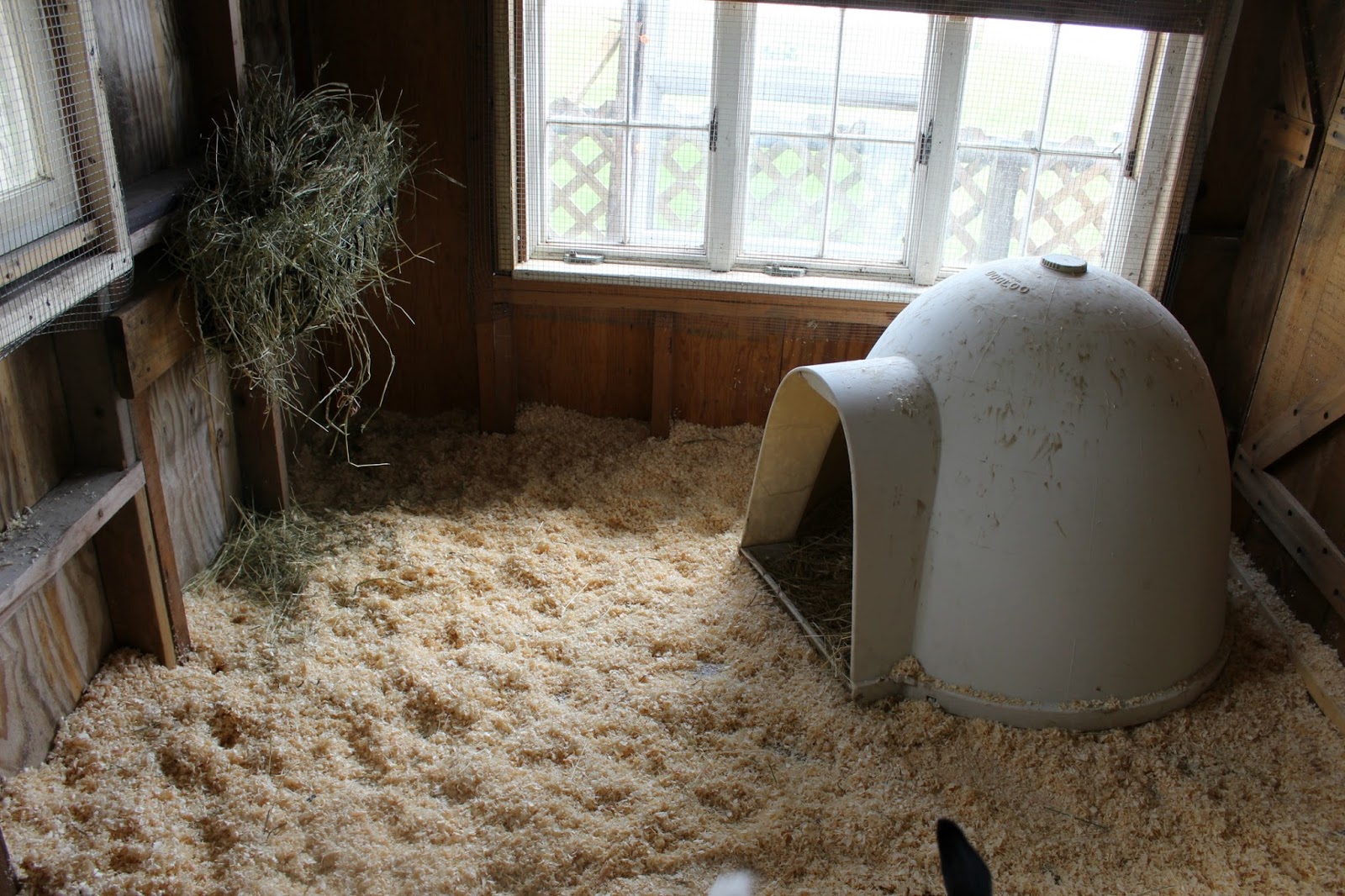 How to Build (almost free) Goat Housing