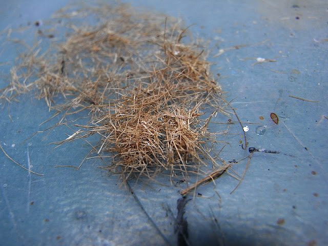 Tutorial - Bringing in more detail to your quick grass | planetFigure ...