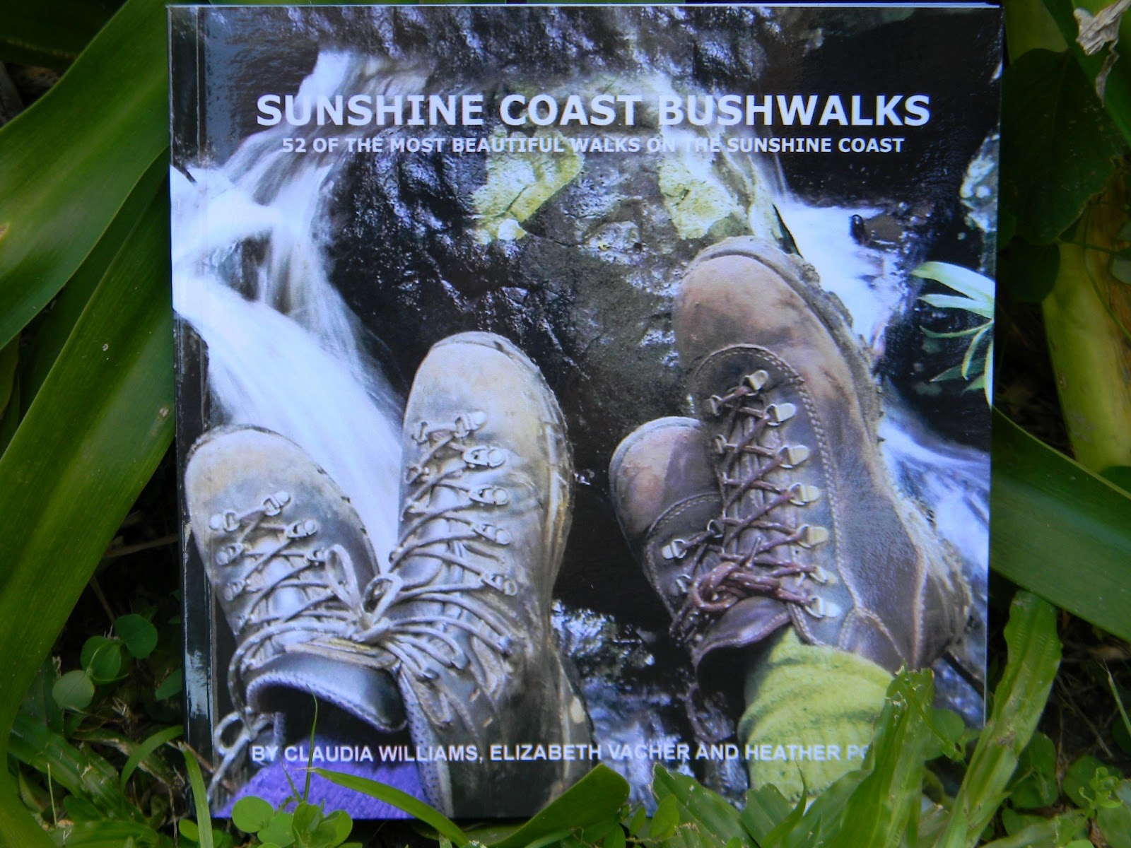 Bushwalking on the Sunshine Coast, Queensland.