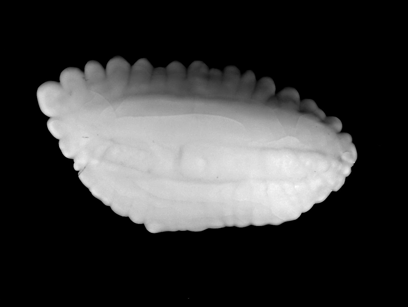 Scientists@Sea: May 2012