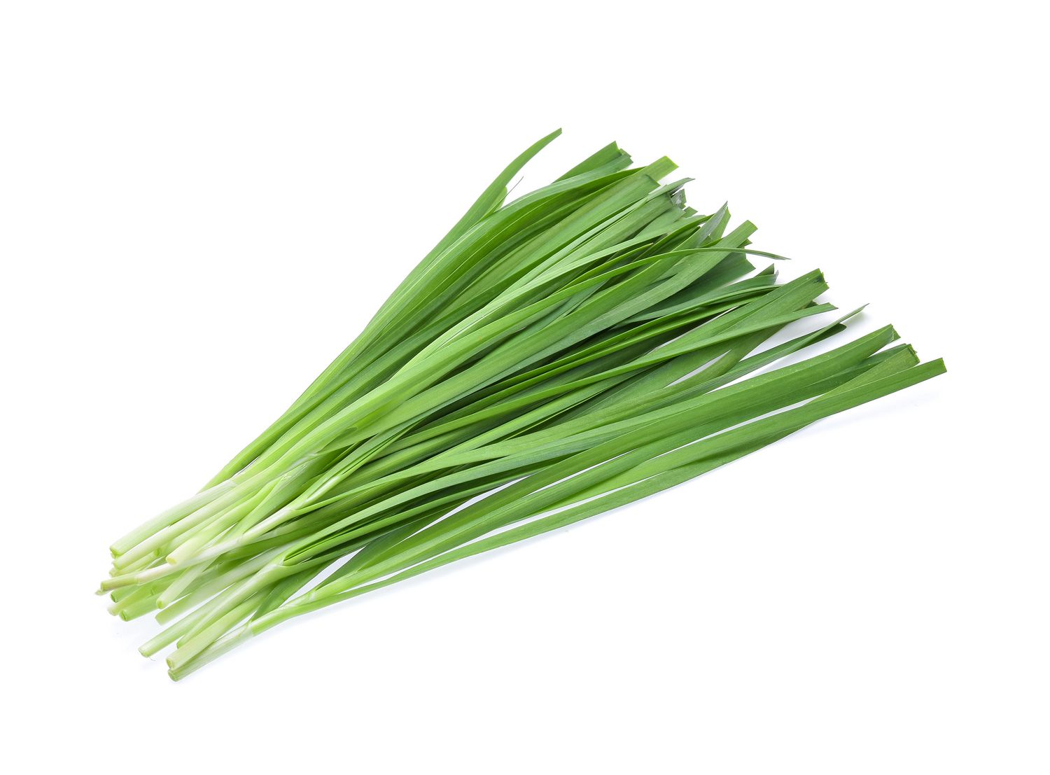 CSA Shares: Chives