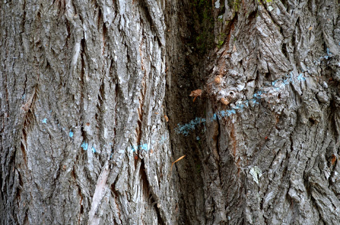 janvier 2015 | Mary & Patch