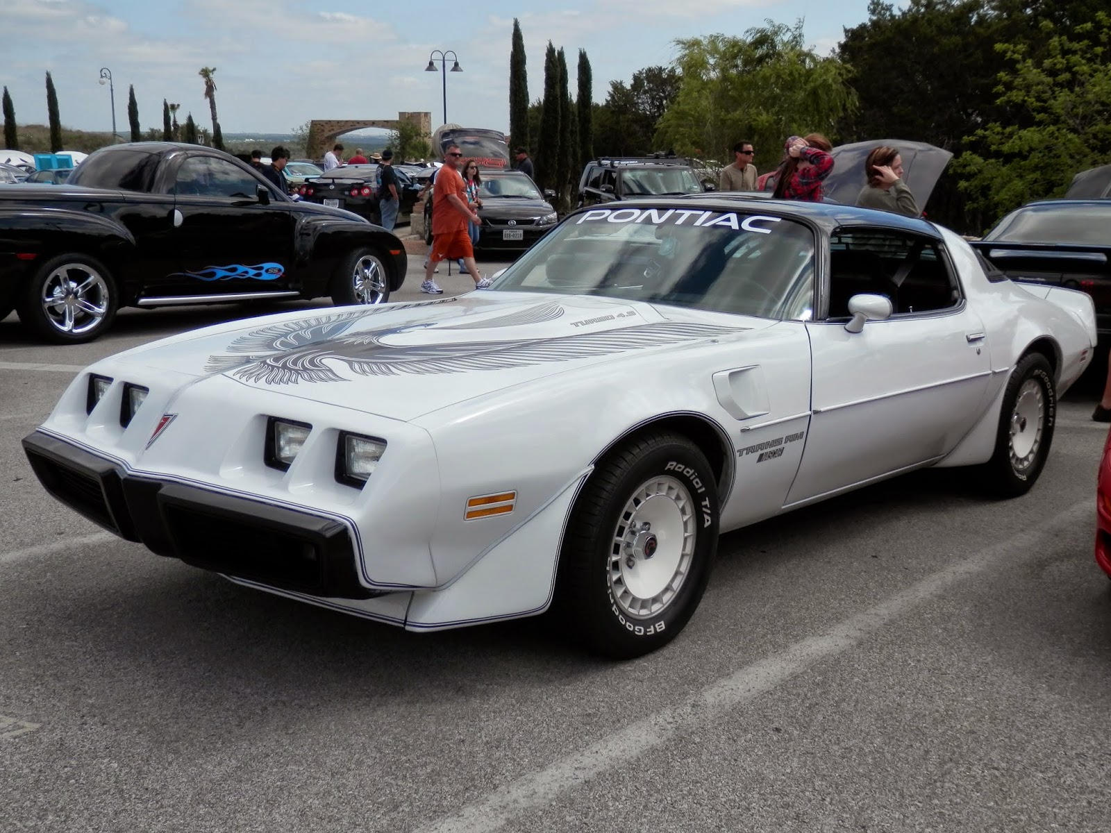 Shifting Gears: Car Show Highlights