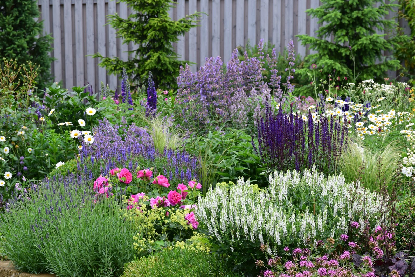 Život v zahradě: Trvalkový záhon | Small garden design, Flower garden ...