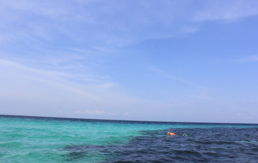 Indahnya Pulau Dedap dengan Gradasi Air Laut yang Hijau Tosca - Kisah ...