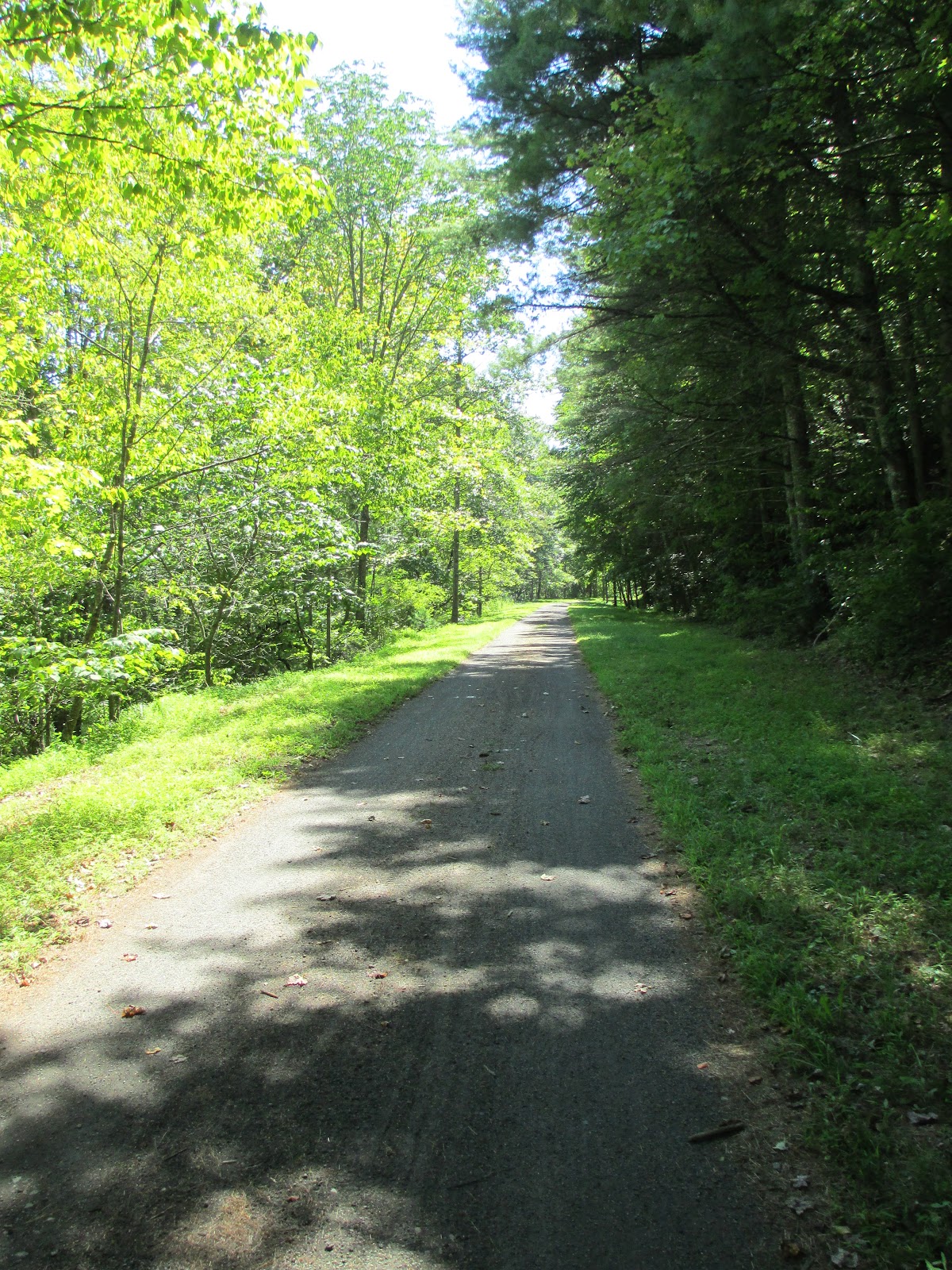 Piedmont Velo Sports: The New River Trail - Foster Falls, VA. to Galax ...