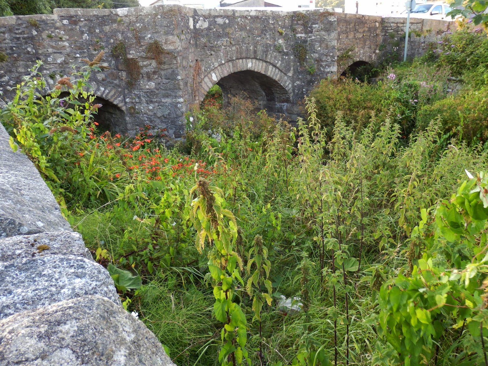 67 Not Out: The 500 Year Old Cornish Stone Bridge: What Tales It Could tell