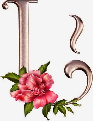 Alfabeto rosas lindo! Abc letras cor de rosa com flores com rosas ...