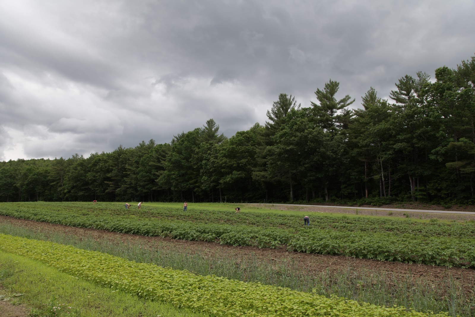 Farm 2 Fork: Middle Branch Farm