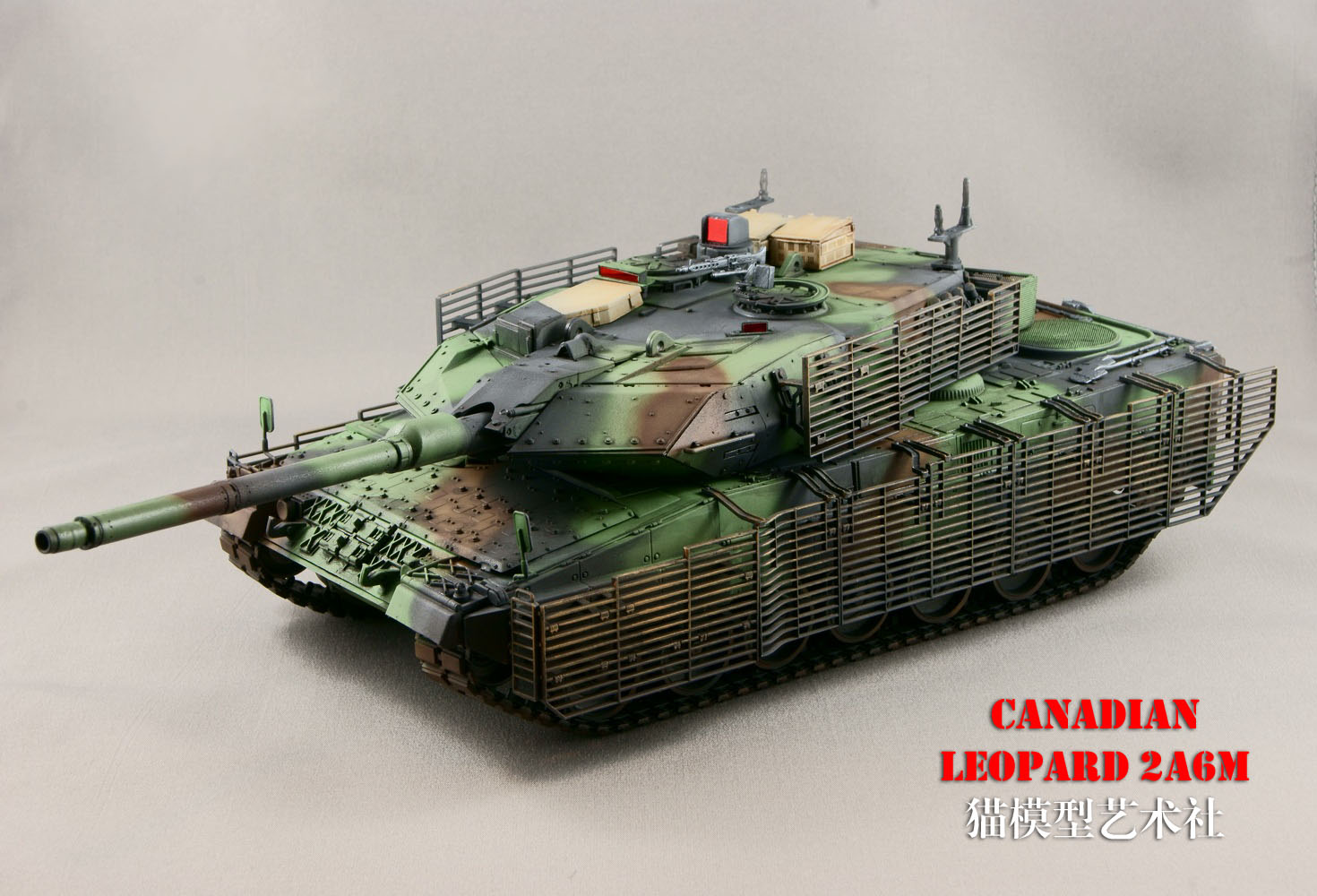 Alex's Model: Canadian Leopard 2a6m