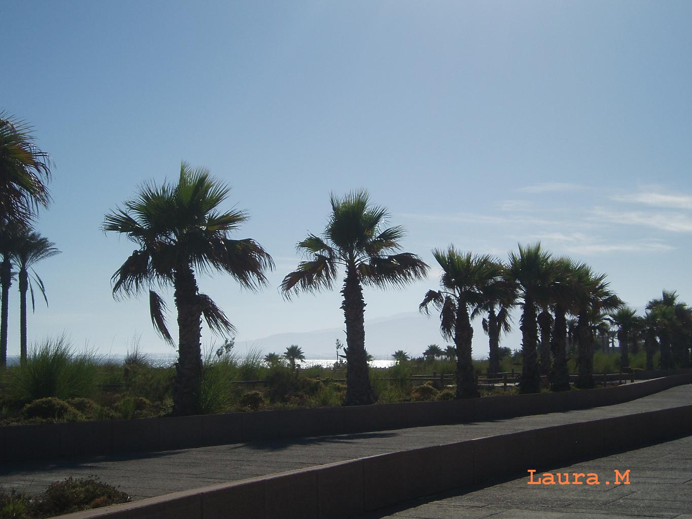 Así me gusta el mundo: RETAMAR. EL TOYO.