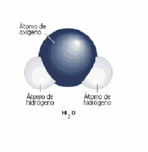 Unidad 3: Agua, ¿de dónde para que y para qien?: 3.3.4 Estructura ...