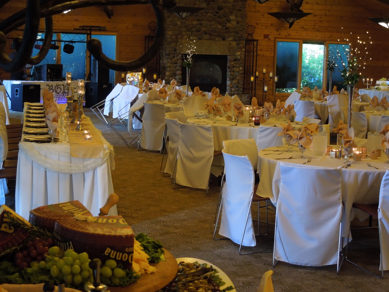 Christiani's Catering and Events: Wed. Ed. CHAIR COVERS