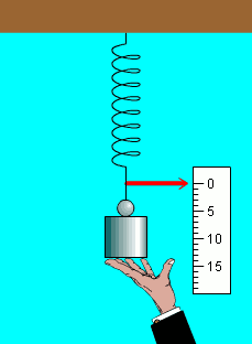 FISICA VIRTUAL 11: WEBQUEST #13 "SISTEMA MASA-RESORTE"