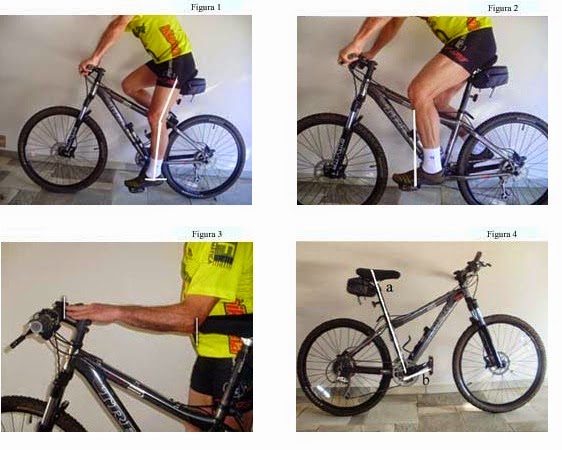 BICICLETA – TÉCNICA BÁSICA E ERGONOMIA - PDD