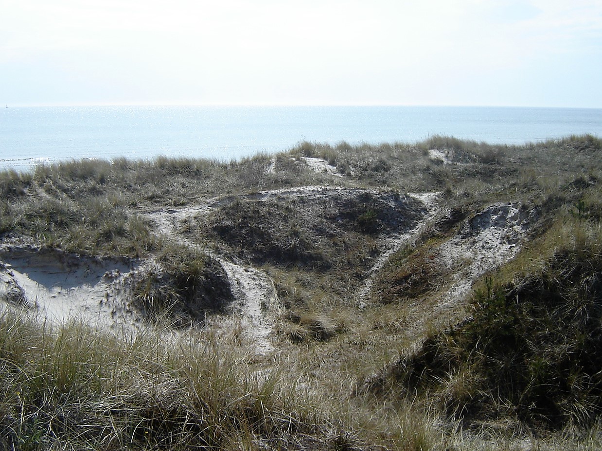 Skånska Resor: Borrby strand