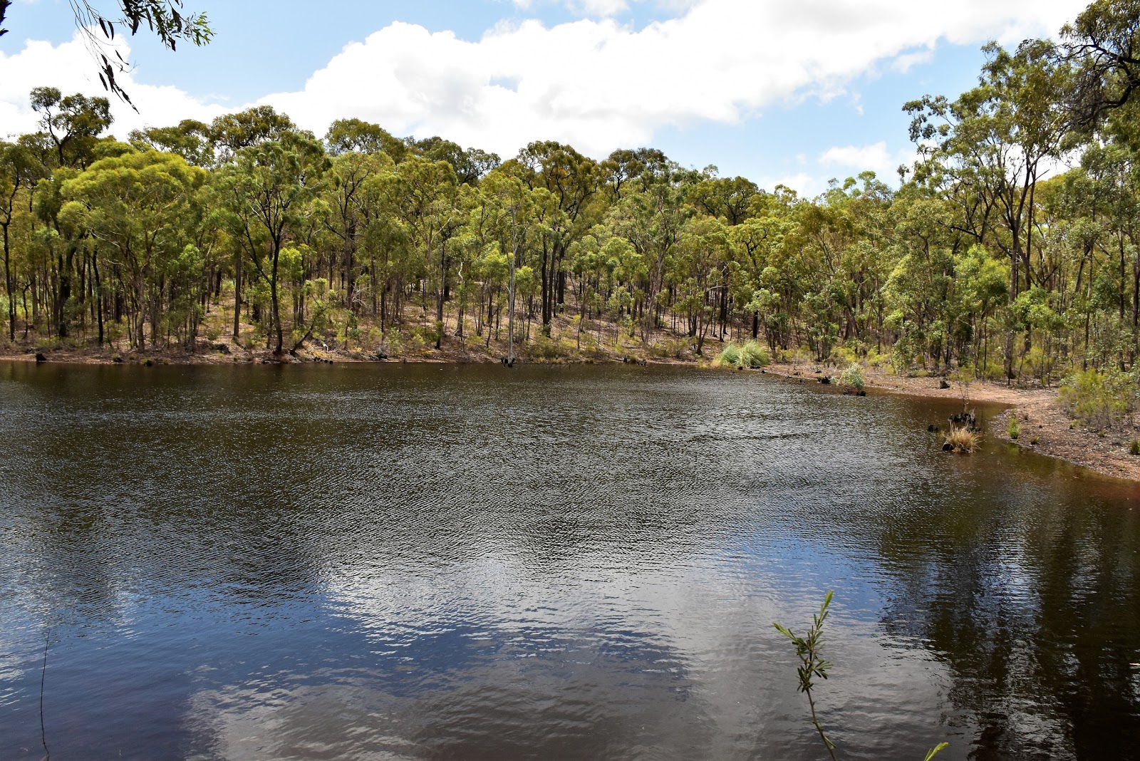Goin' Feral One Day At A Time: Mandurang Walk, Greater Bendigo National ...
