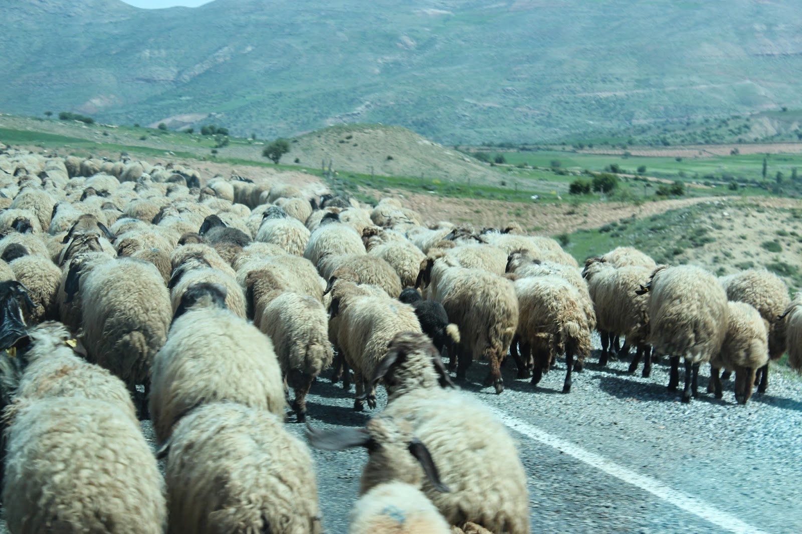 St Mary Our Lady: May 2014