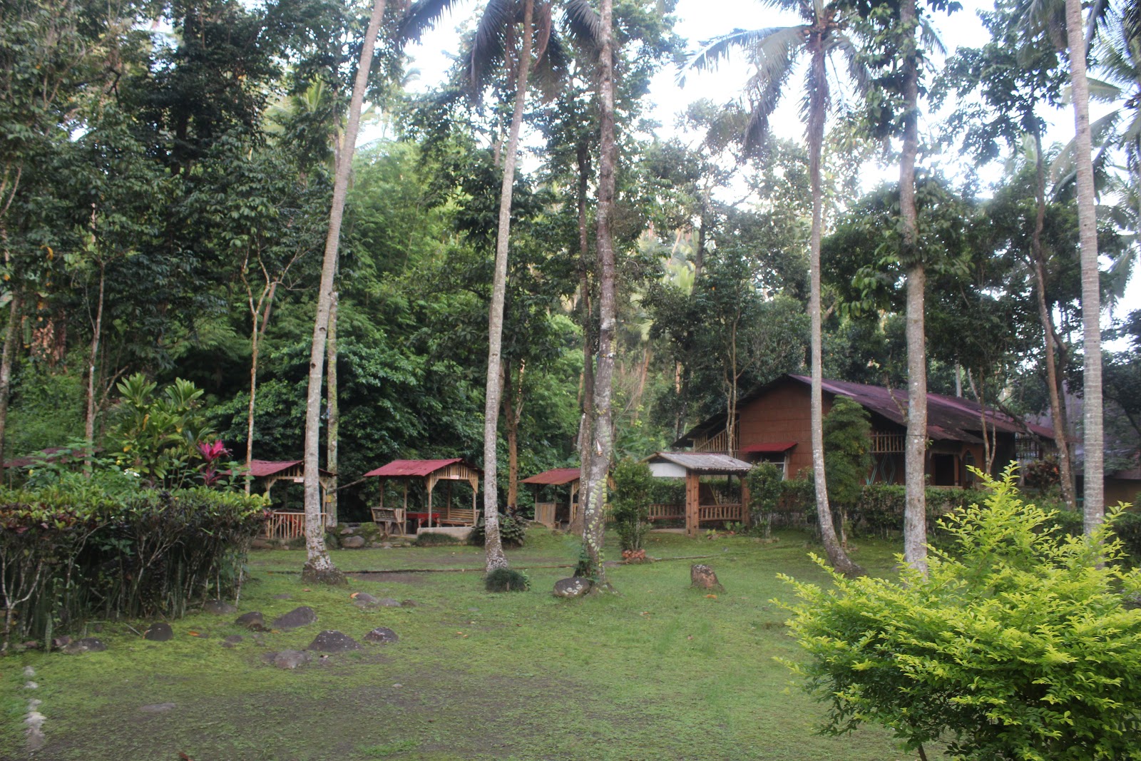LEXICAL CROWN: LILIW RESORT: A COMPLETELY LUSH FOREST PARADISE