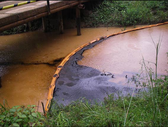 Alicia Procello Maddox California | Blogspot: The Devastation of Oil ...