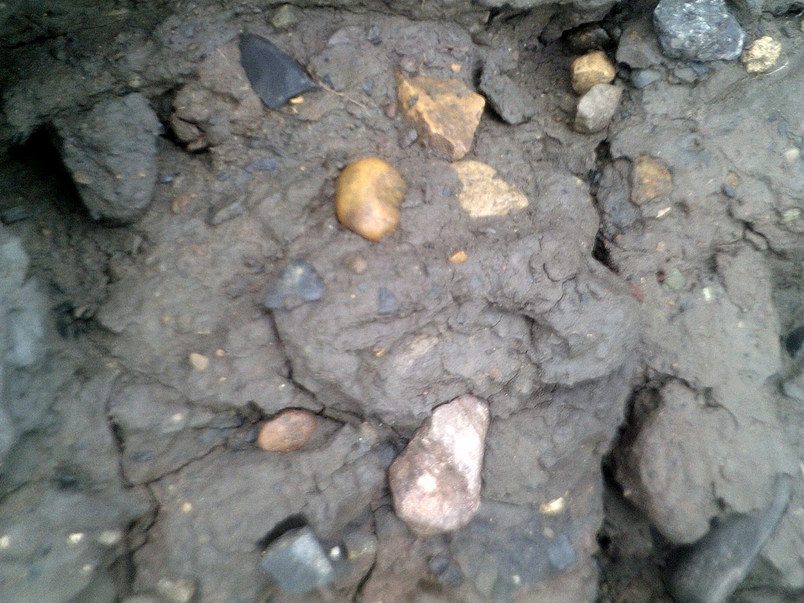 wigton physics: Boulder clay at Robin Hoods Bay