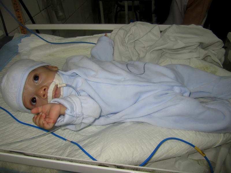 Let's help get Master Cheeks and Princess back HOME