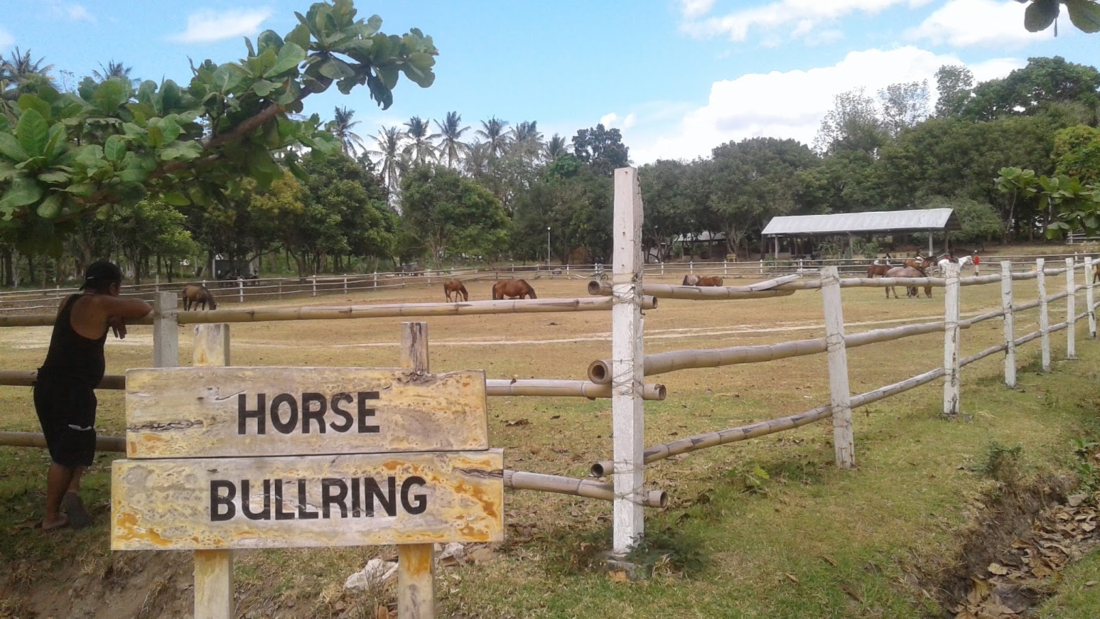 Beaches and Get Aways in Negros Island: BANTUG LAKE RANCH