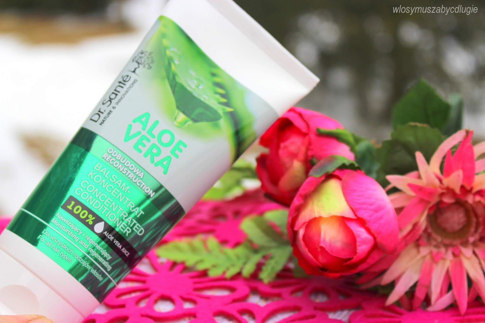 Włosy muszą być długie: Elfa Pharm - Dr. Sante Aloe Vera - Aloesowe ...