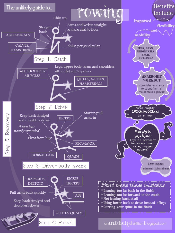 Rowing Infographic - You Lift Mate?