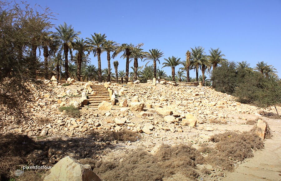 Wadi Hanifah in Winter