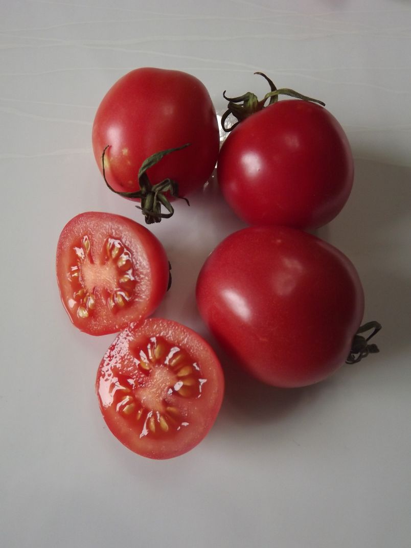 Mouse River: Tomatoes