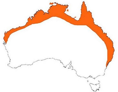 Megabats, it turns out they are pretty important for the environment ...