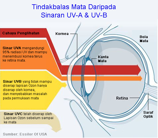 Cermin Mata Silau: Spek Anti Silau HD