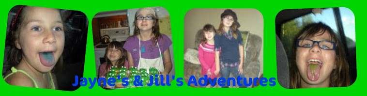 BLYTHE FUN BLYTHE ADVENTURES