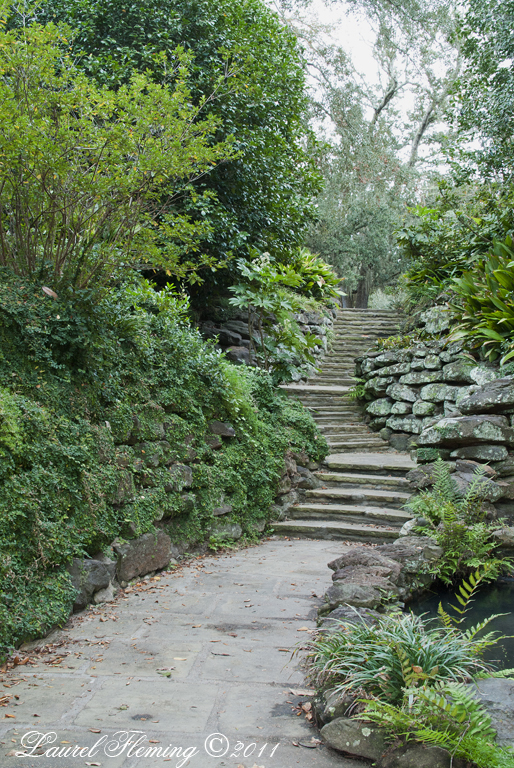 Japanese Zen Garden: Zen Path