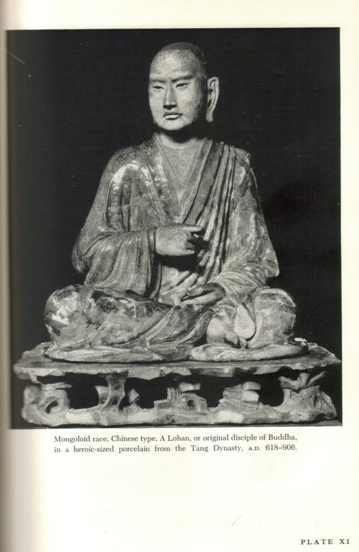 Расология, Антропология, Генетика : Carleton S. Coon, "The Story of Man ...