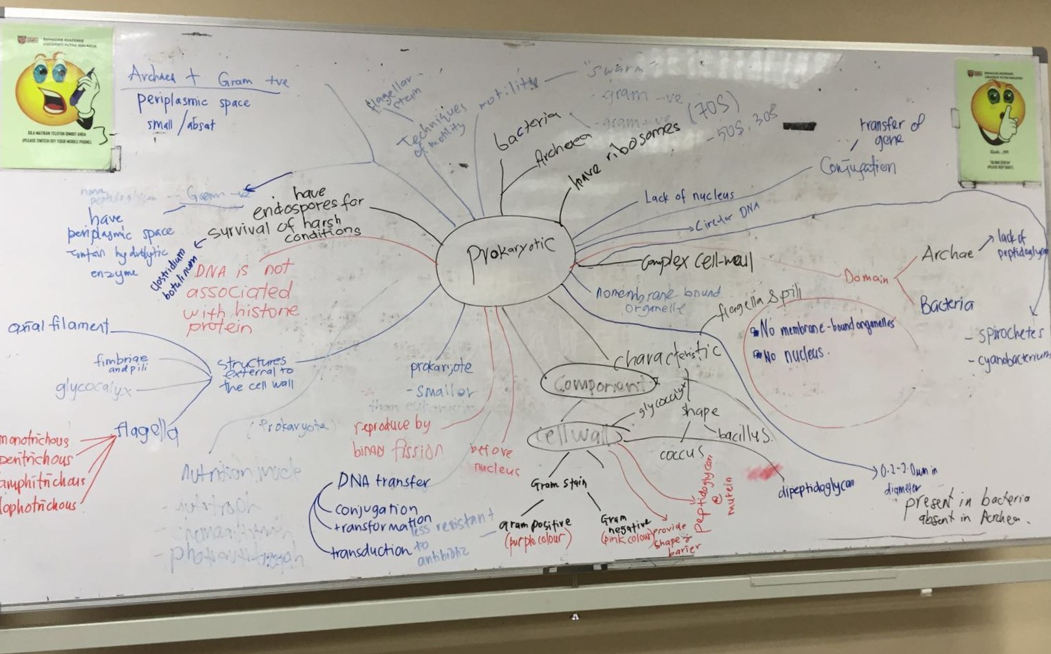 Learning_Bloggirl: Microscopy & Prokaryote